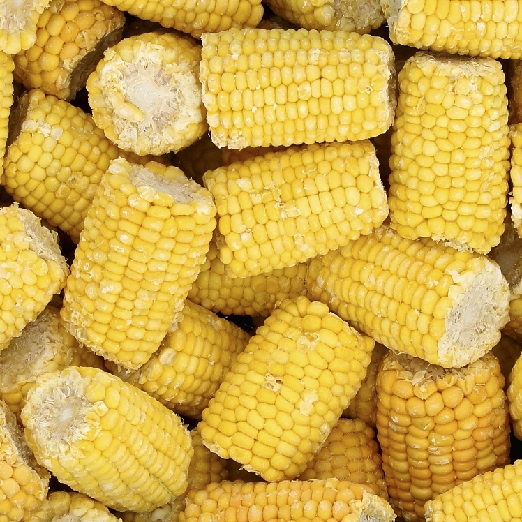 MONARCH YELLOW SWEET FANCY FROZEN CORN ON THE COB 3 INCHES - US Foods ...